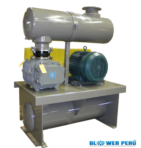 Mantenimiento de Sopladores Roots- Blower Perú EIRL